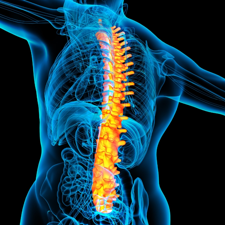 Advance Pain Management of Florida – Pain Solutions for a Better Tomorrow